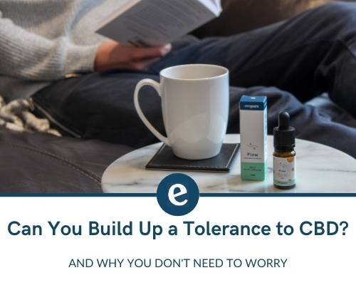 Can You Build Up A Tolerance To CBD Oil? How To Fix This Problem - Evopure Can You Build Up A Tolerance To CBD Oil? How To Fix This Problem - Evopure
