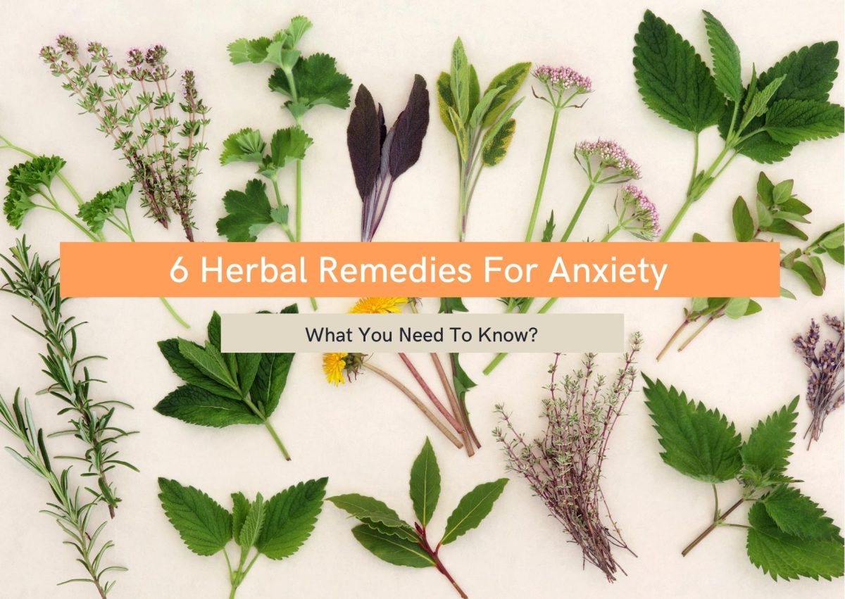 6 Herbal Remedies For Anxiety Evopure